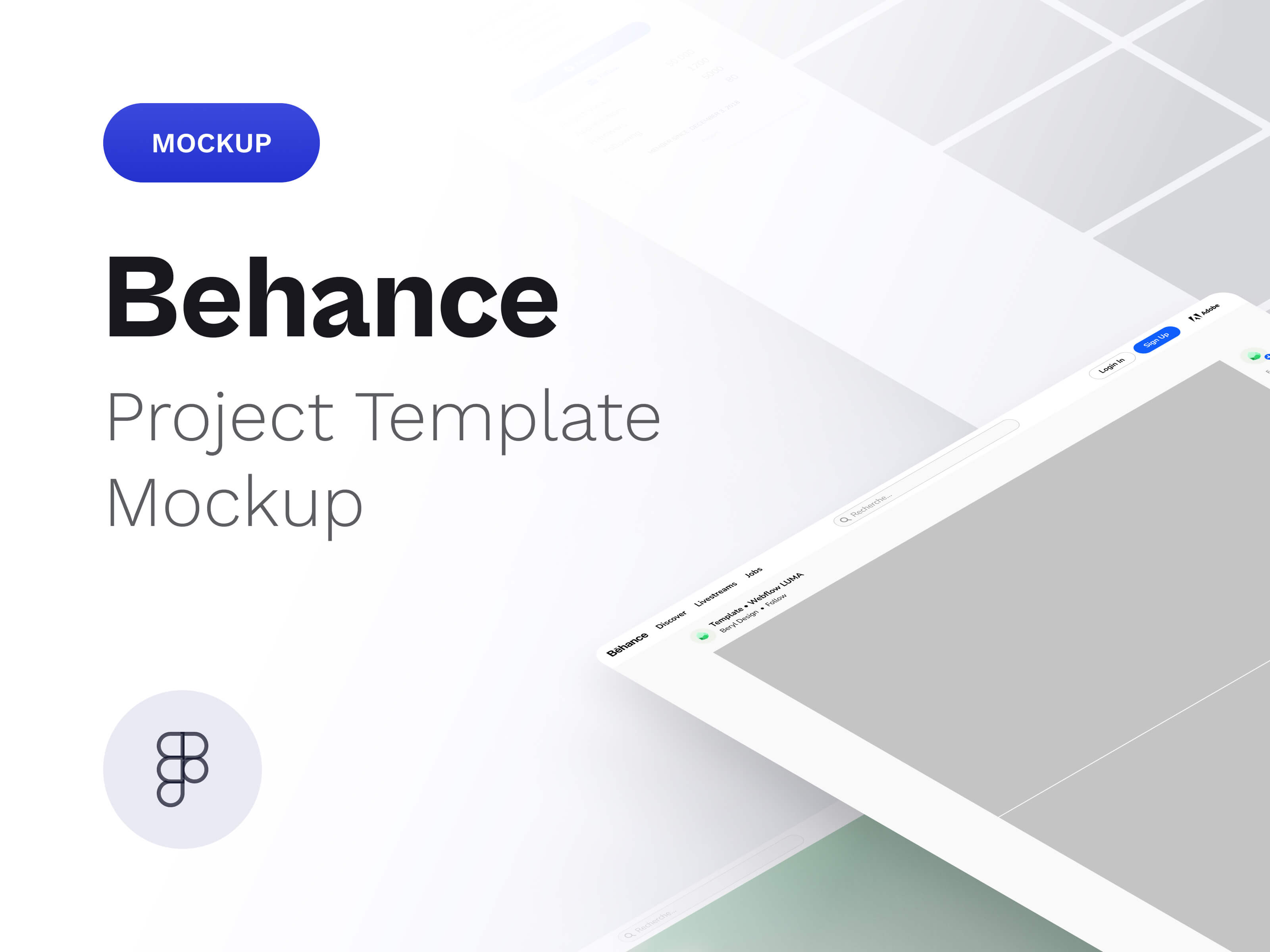 Behance Project Template Mockup